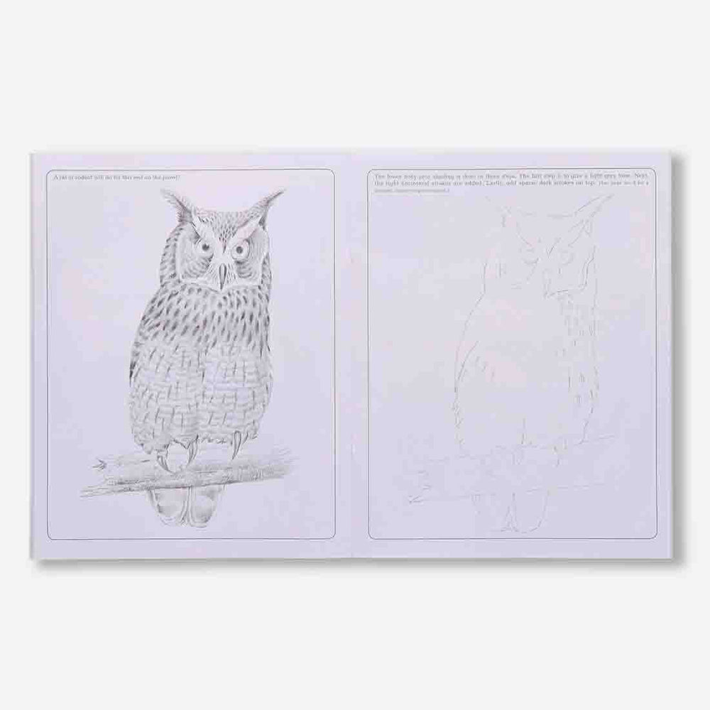 Navneet Learn Pencil Shading Animals & Birds 1 and 2 | For Elementary